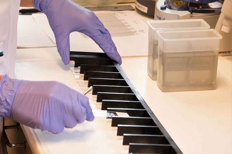 Immunohistochemistry - I3T - Advanced Diagnostics Center